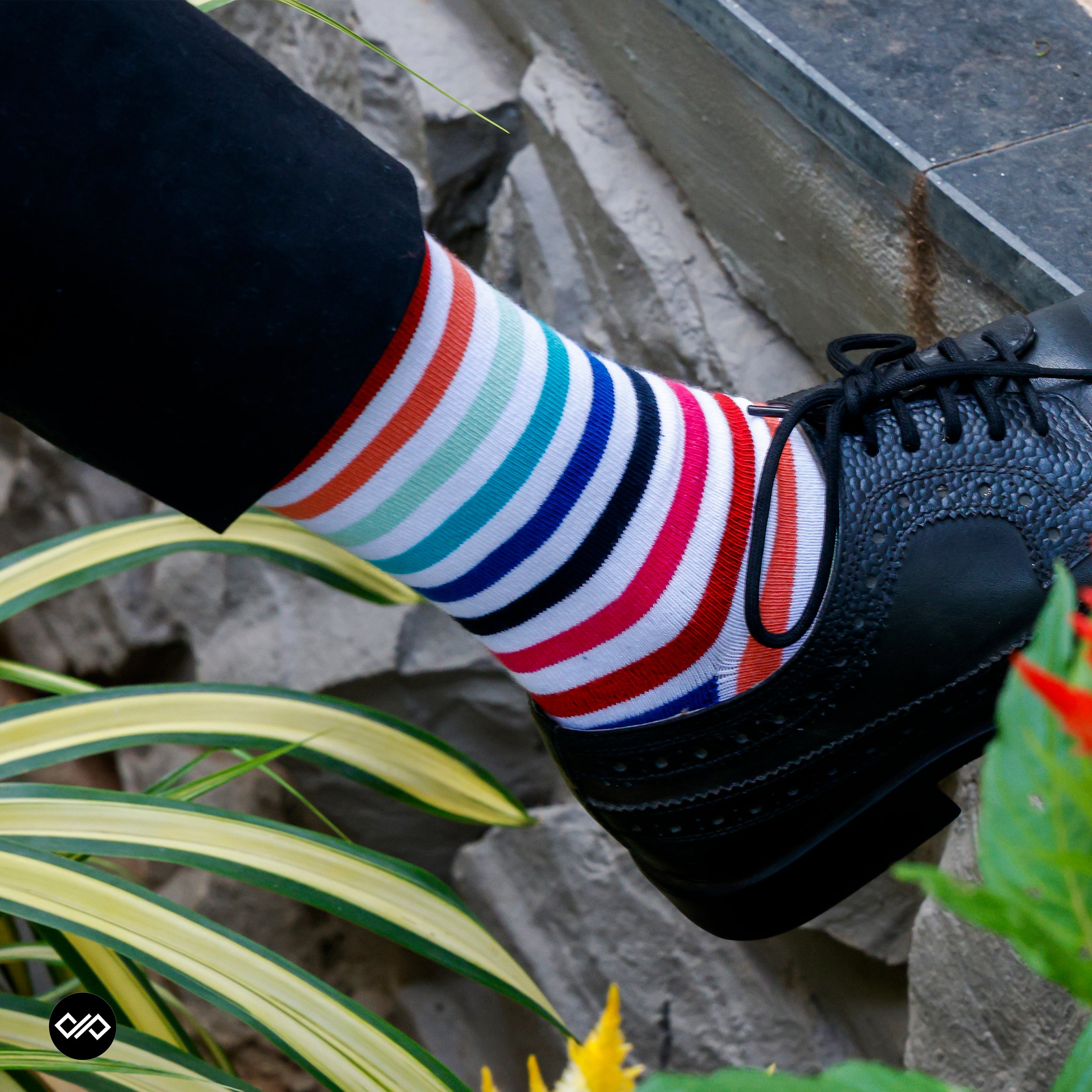 Cotton Ankle & Crew Socks: Premium Styles for Men & Women - Dynamocks